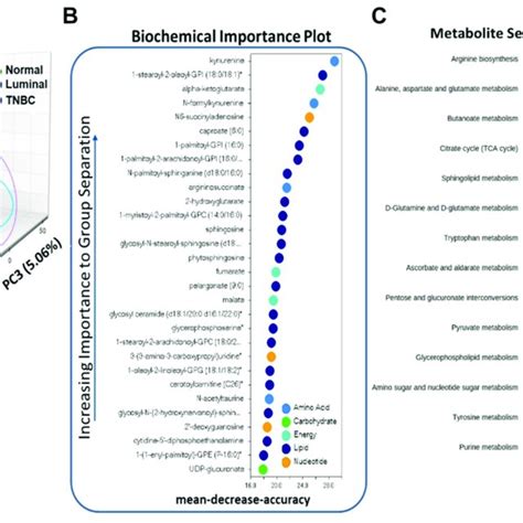 Metabolome Analysis Of Normal And Breast Tumor Tissues A Principal