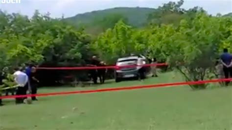 ბაჩალიაშვილის საქმეში დამოუკიდებელი ექსპერტი ჩაერთვება ადვოკატი Netgazeti • თამარ