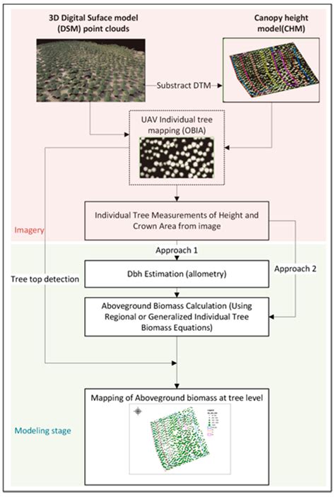 Forests Free Full Text Use Of Multi Temporal Uav Derived Imagery