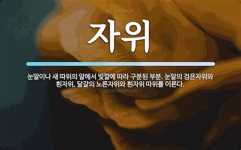 자위 뜻 눈알이나 새 따위의 알에서 빛깔에 따라 구분된 부분 눈알의 검은자위와 흰자위 달걀의 노