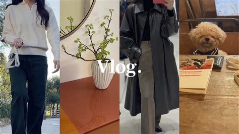 Engvlog 대학생 브이로그 나 혼카 사랑하네 김포 현대 프리미엄 아울렛폴로아디다스나이키톰보이리바트 겨울옷 언박싱 인생 첫 닭도리탕 성공적