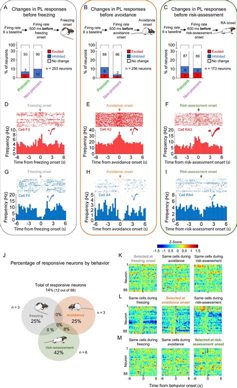 Figures And Data In Neural Correlates And Determinants Of Approach