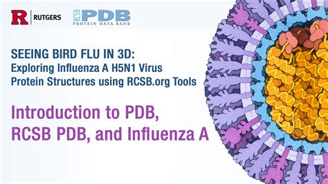 PDB-101: Seeing Bird Flu in 3D: Exploring Influenza A H5N1 Virus Protein Structures using RCSB ...