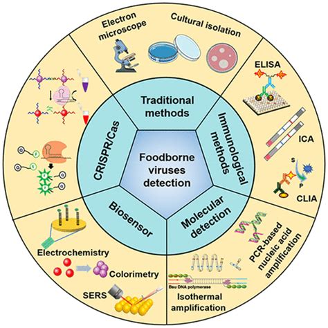 Detection Methods For Foodborne Viruses Current State Of Art And