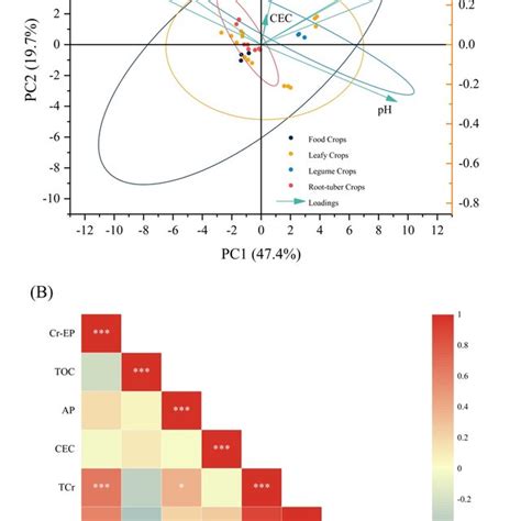 Principal Component Analysis Pca A And Correlation Analysis B For