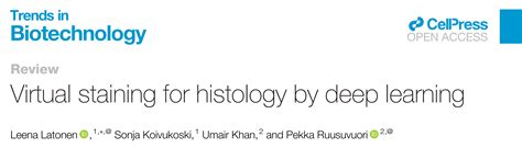人工智能在病理组学虚拟染色中的应用｜文献精析·24 07 07 Csdn博客