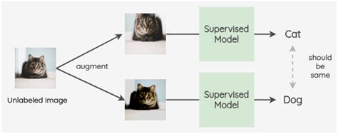 fixmatch simplifying semi supervised learning with consistency and