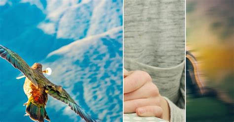 list effective ways to train people curated by t meier medium