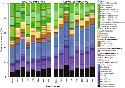 Frontiers | Tree Species Shape Soil Bacterial Community Structure and Function in Temperate ...