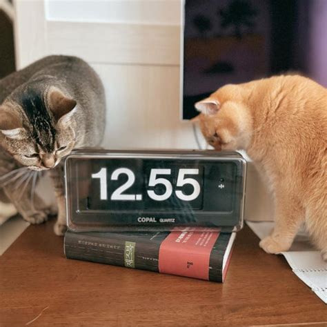 Metal Gas Canister Fawi 60 1987 Military Fuel Container Jerry Can 20l