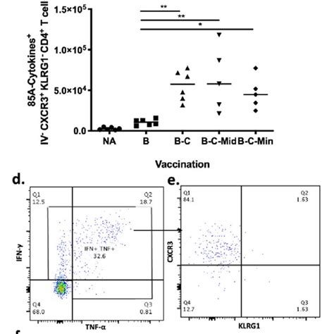Ppd Specific Effector Cytokine Producing Parenchymal Cd4 T Cells And
