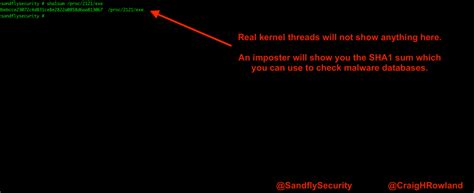 Detecting Linux Kernel Process Masquerading With Command Line Forensics Apnic Blog