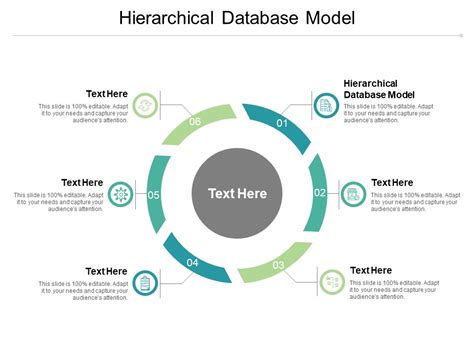hierarchical database model