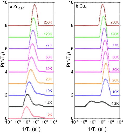 Density Distribution Function P1t 1 A Representative Results Of