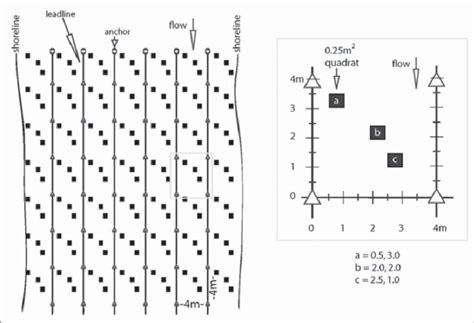 Systematic Sampling Design Illustration The Close Up On Right Depicts Download Scientific