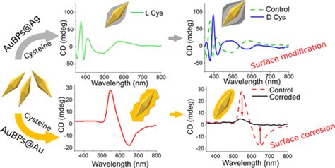 Insight On Chirality Encoding From Small Thiolated Molecule To