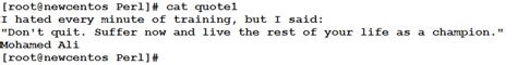 learn about one liners in perl programming