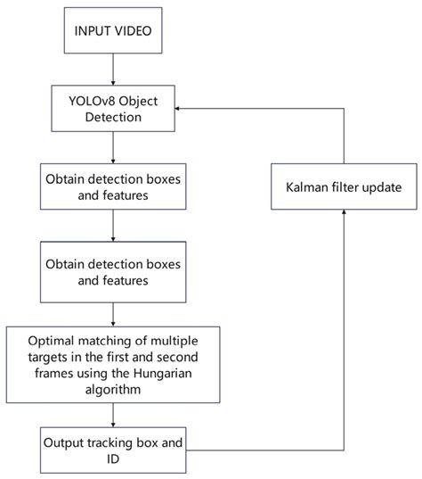 Yolosortc3d A Yolov8 Deepsort And C3d Based Method For Sheep