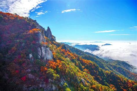 전설 깃든 처마 바위에서 용틀임하다 승천