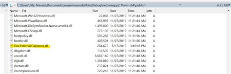 Nuget Package Not Copied On Buildpublish Not Found On Run · Issue