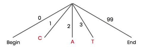 building conclave a decentralized real time collaborative text editor hackernoon