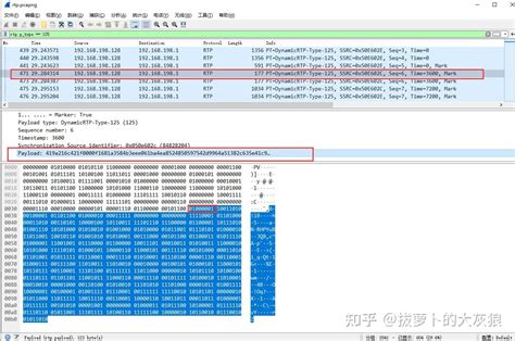 Rtp封装h264，结合webrtc抓包分析 知乎
