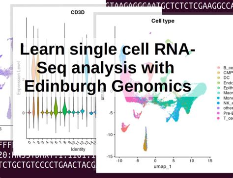 Upcoming RNA-Seq Workshops | RNA-Seq Blog