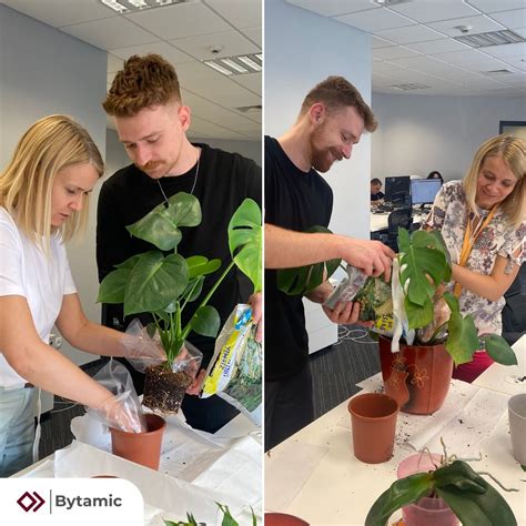 Bytamic On Linkedin Teambytamic Growth