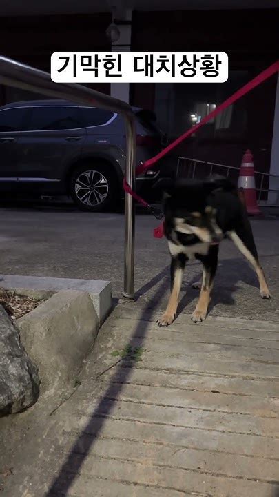 아주 답답한 상황이네요 Youtube