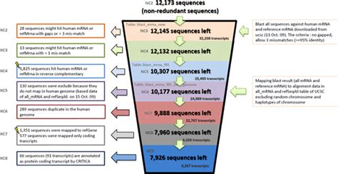 Computational Pipeline For Annotation Of Custom Microarray Probes