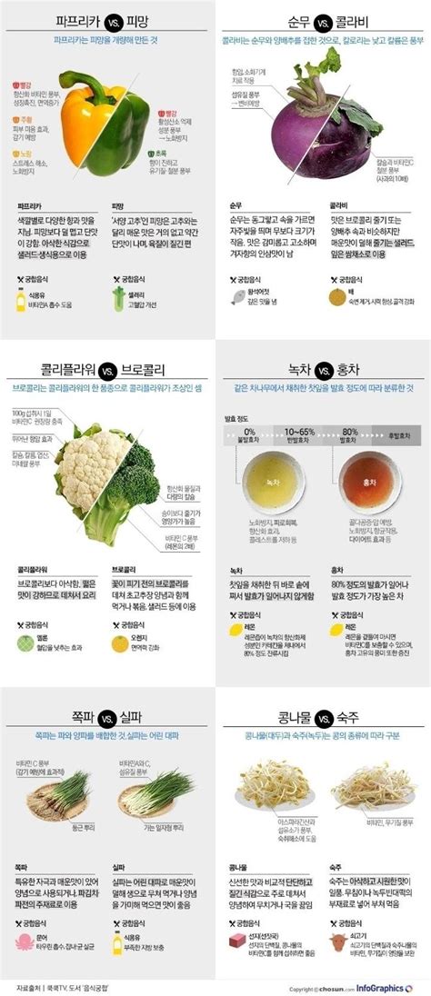 파프리카 피망차이 인스티즈 Instiz 이슈 카테고리