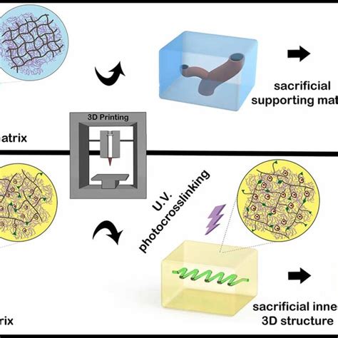 Schematics Of The Proposed Embedded Bioprinting Approaches For Download Scientific Diagram