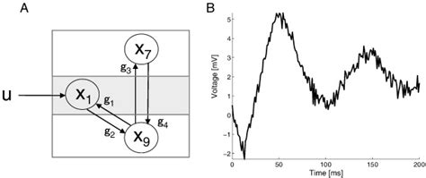 A Single Node Neural Mass Model Nmm A The Forward Model Consists