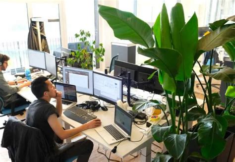 Synera About Us Synera About Us