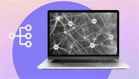 Ns Records Dns Snapshot Hub By Internetx