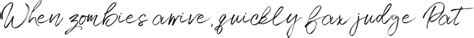 broadway script font ~ script fonts ~ creative market