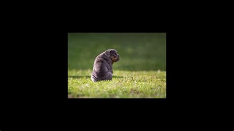 잠 잘오는 힐링 음악 Youtube