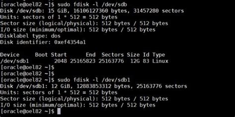 How To Resize An Asm Disk Mufalani Dba Ocm