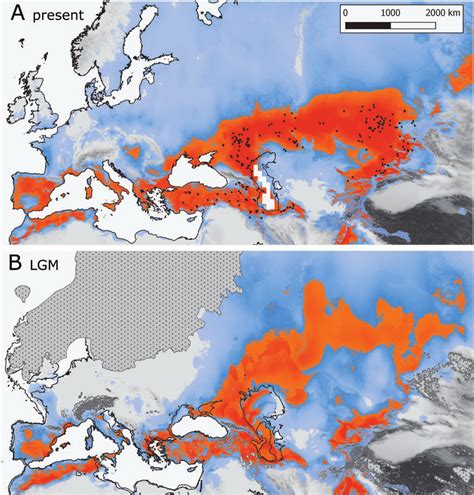 Species Distribution Models Showing The Climatically Suitable Areas For Download Scientific