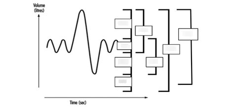 Spirogram Diagram Quizlet Spirogram Diagram Quizlet