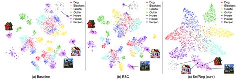 Visualizations By T Sne 39 For A Baseline No Dg Techniques B