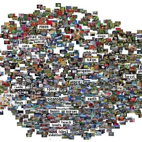 Multimodal Visualization Of The Complete Dataset Download Scientific Diagram