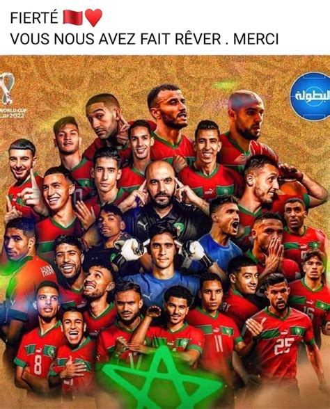 réda alioua posted on linkedin