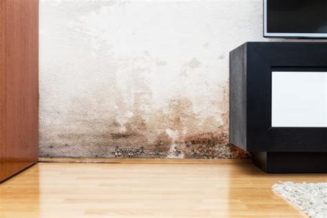 The Causes Of Humidity And Its Consequences On Our Health Towards Sustainability