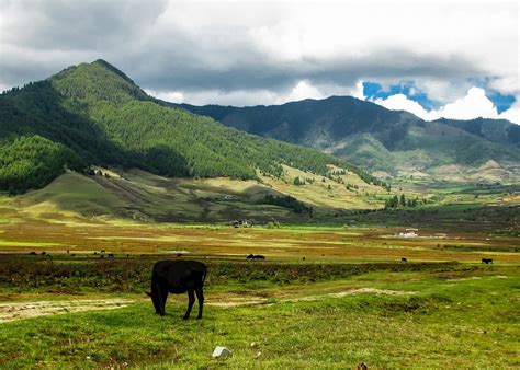 Visit Phobjikha Valley On A Trip To Bhutan Audley Travel
