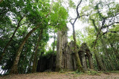 ba vi jungle paths 30 nov 2024 world s marathons