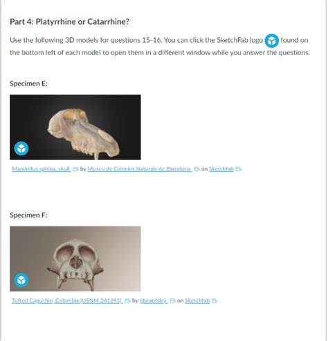 Solved Part 5 Cercopithecoid Or Hominoid Use The Following