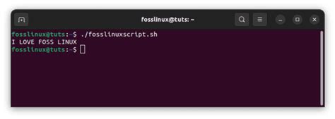 How To Fix Shell Script Permission Denied Error In Linux