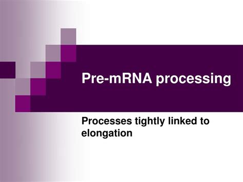 Ppt Elongation And Pre Mrna Processing Powerpoint Presentation Free Download Id 3544274