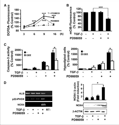 figure 3 from overactivation of the mek erk pathway in liver tumor